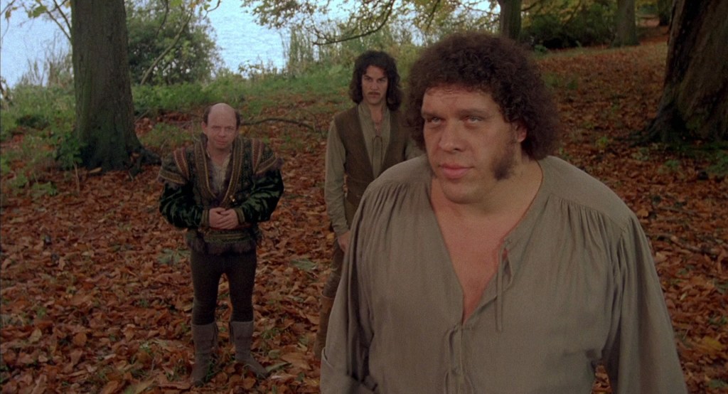 “This is true love” | The Princess Bride (1987) – FictionMachine.