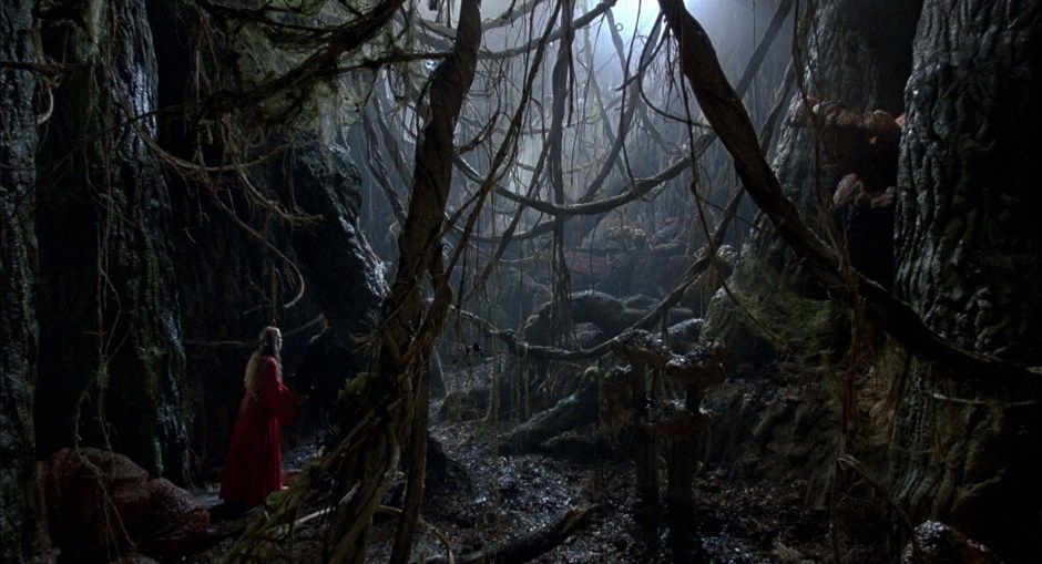 “This is true love” | The Princess Bride (1987) – FictionMachine.