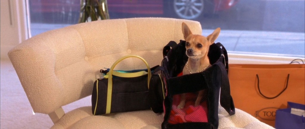 “What, like, it’s hard?” | Legally Blonde (2001) – FictionMachine.