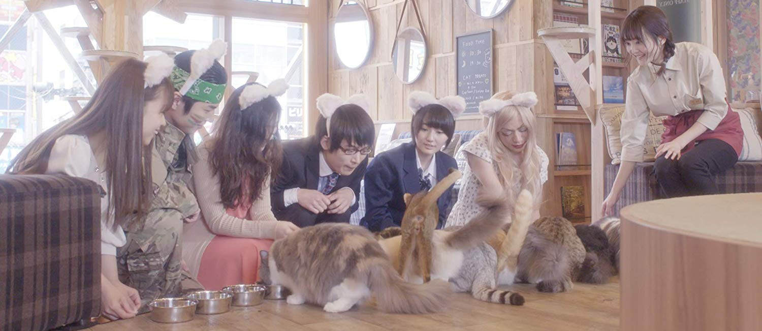 REVIEW: Cat Cafe (2018) – FictionMachine.