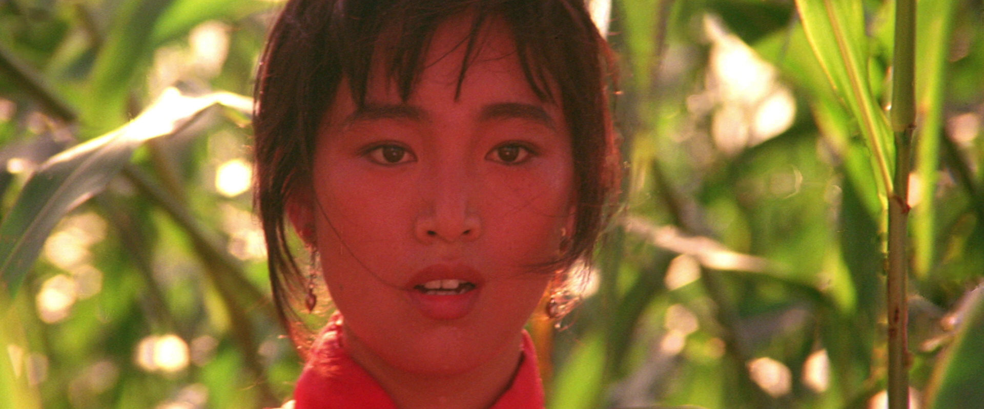 REVIEW: Red Sorghum (1987) – FictionMachine.